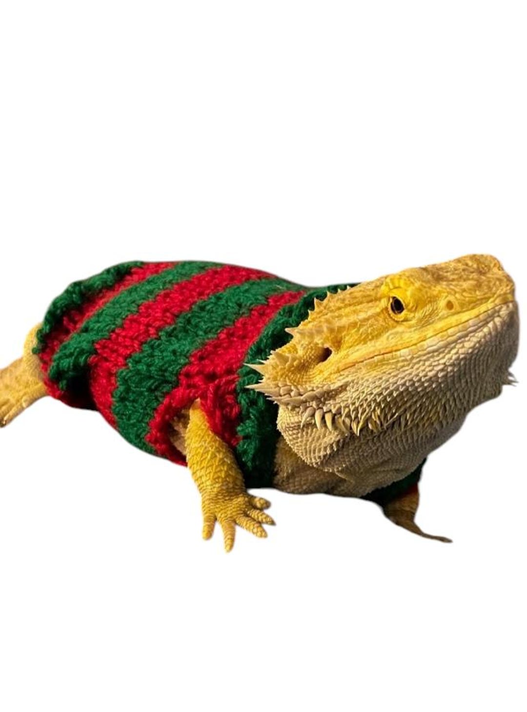 Bearded Dragon Jumper. Reptile, Lizard, Small Pet Jumper, Tank Top ...
