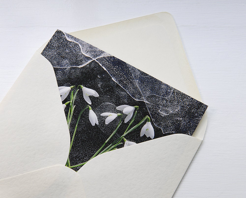 Photo Card, Snowdrops on Ice, Snowdrops, Ice, Snowdrop Flowers, Heart ...