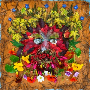 Photo Card, Green Man, Autumn Face, Fall Face, Leaves, Flowers, Nature ...