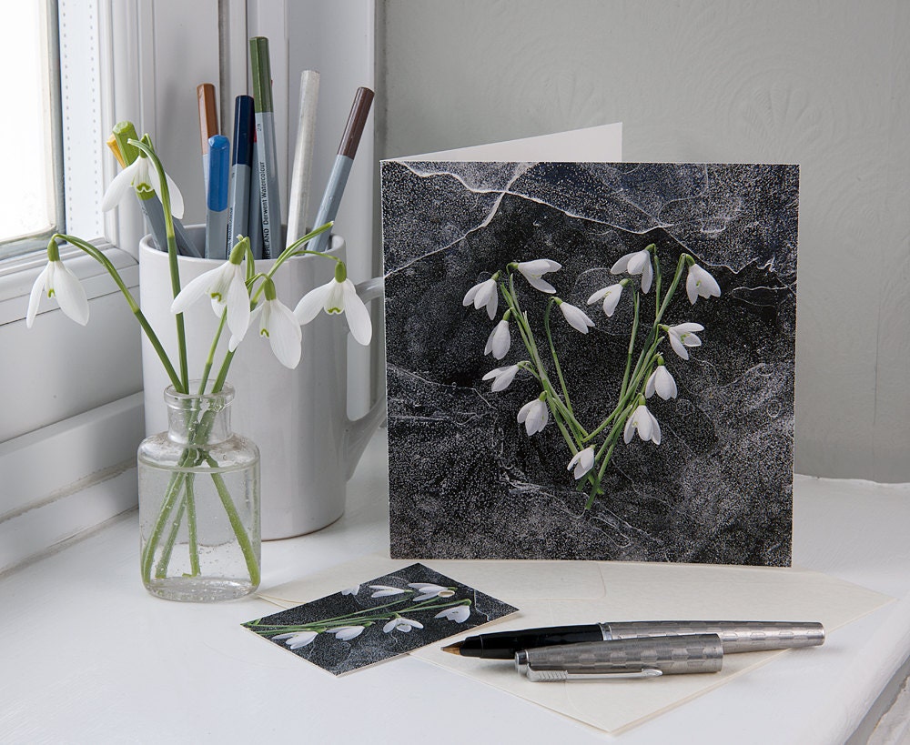 Photo Card, Snowdrops on Ice, Snowdrops, Ice, Snowdrop Flowers, Heart ...