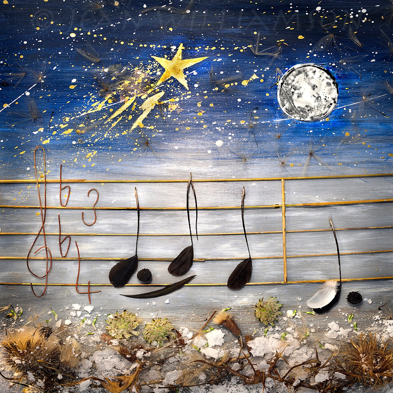 Silent Night, Music Notes, Christmas, Photo Card, Square, Blank Inside ...