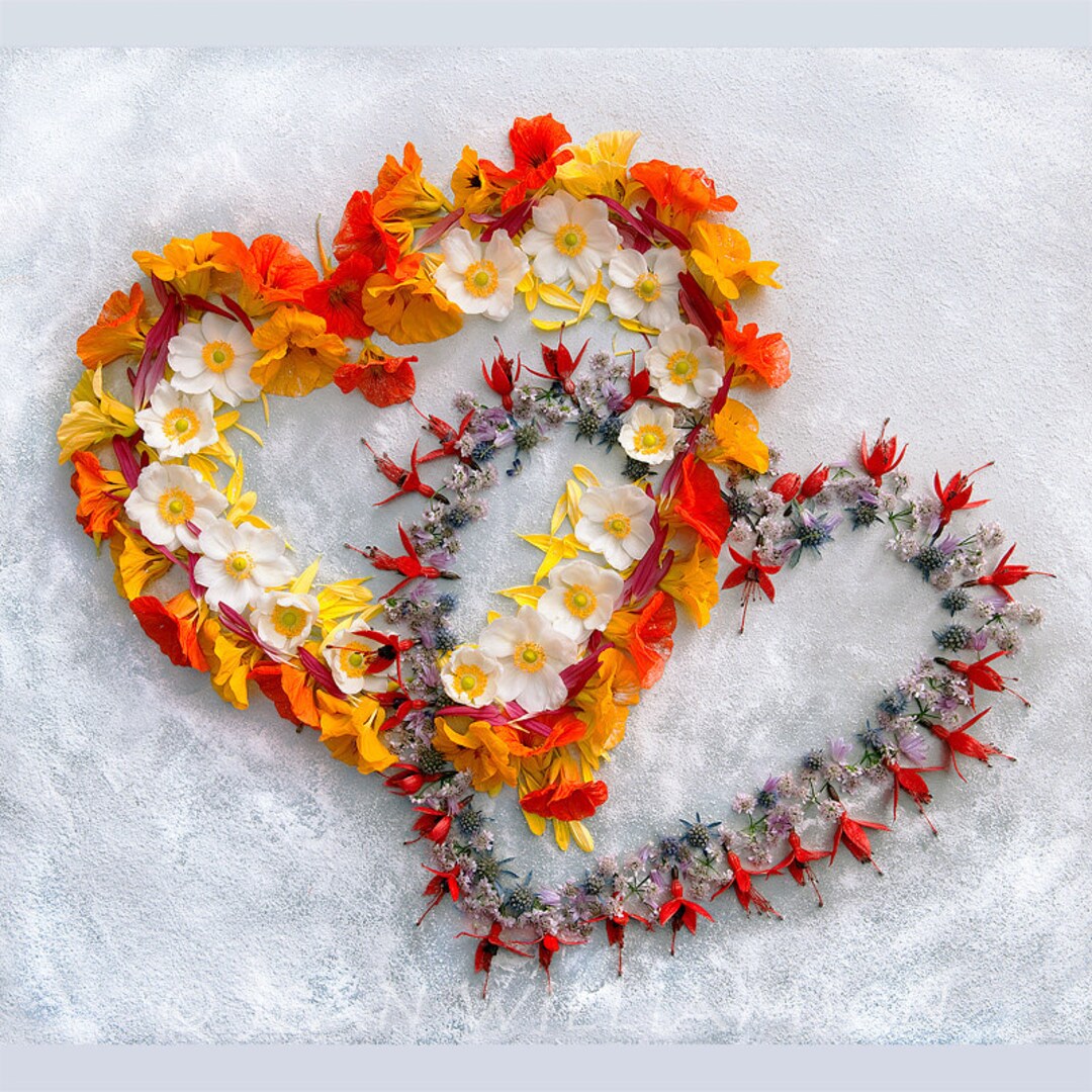 Photo Card, Entwined Hearts, Two Hearts, Love, Flowers, Floral, Square ...