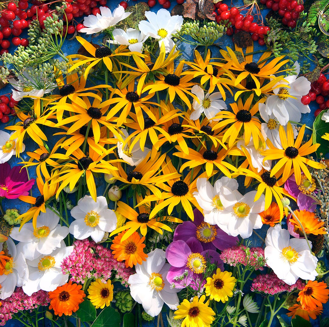 Photo Card, Flower Riot, Riot of Colour, Square, Blank Inside - Etsy