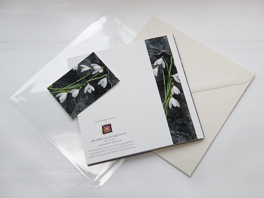 Photo Card, Snowdrops on Ice, Snowdrops, Ice, Snowdrop Flowers, Heart ...