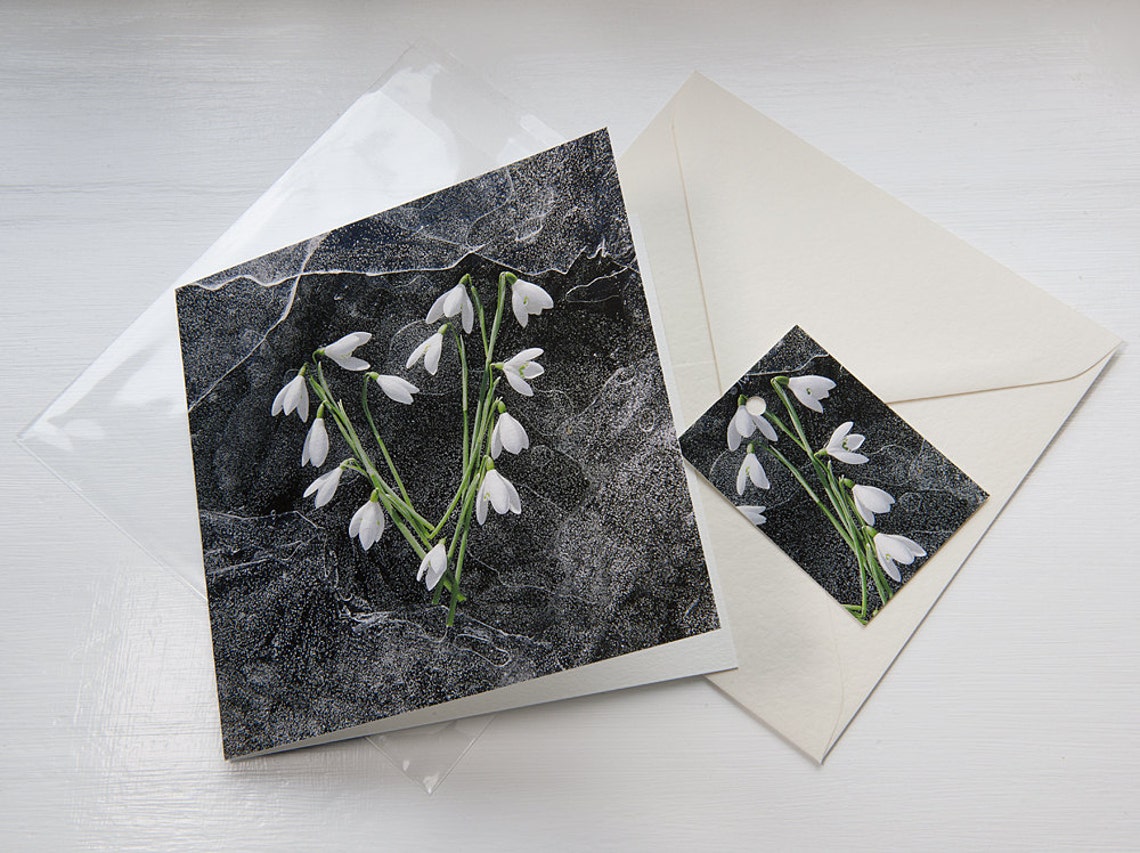 Photo Card, Snowdrops on Ice, Snowdrops, Ice, Snowdrop Flowers, Heart ...