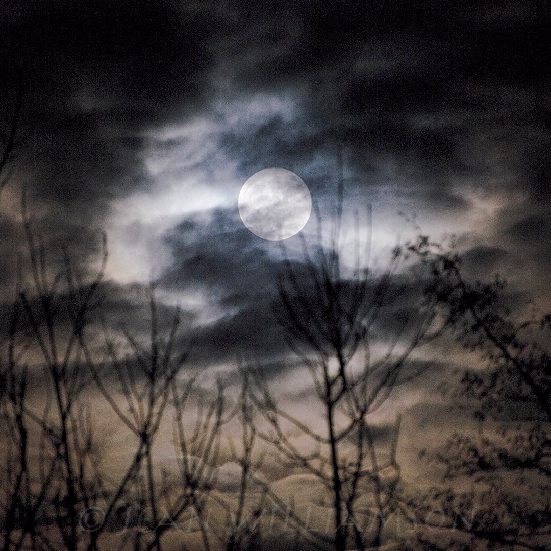 Photo Card, Full Moon, Winter Solstice, Clouds, Moody, Gothic ...