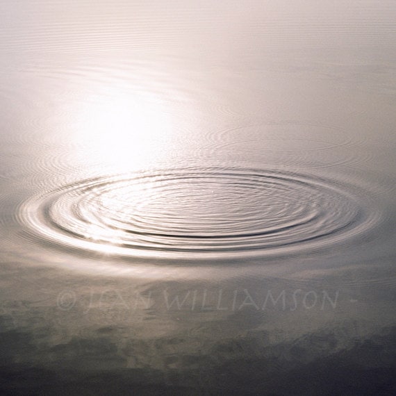 Concentric Circles In Water