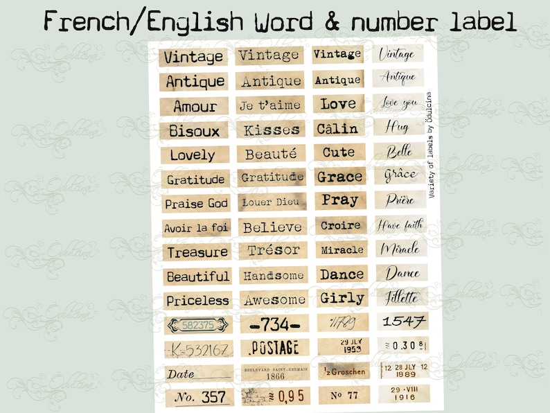 Labels Digital French English Words and Numbers Printable | Etsy