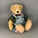 Vanderbear Picnic Bear by North American Bear Company - Etsy