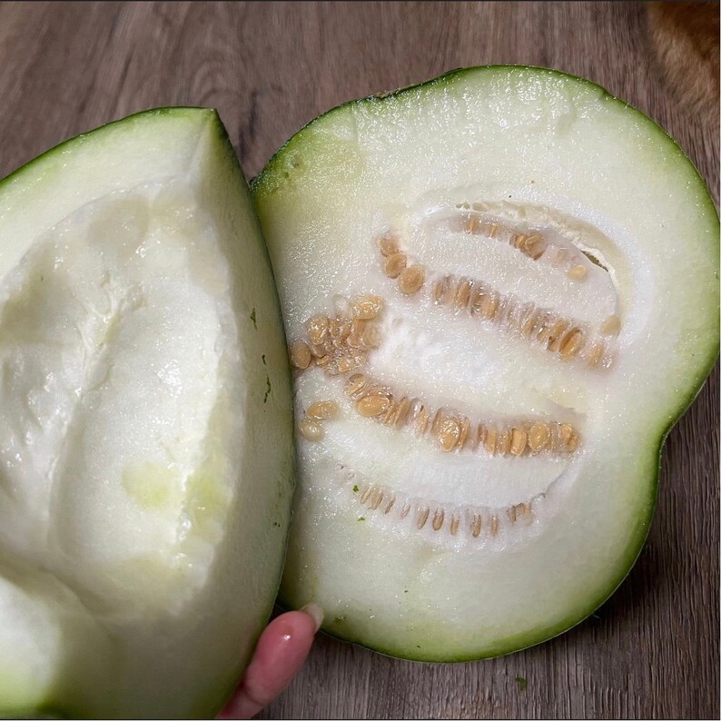Winter Melon Seeds over 35 per Pack Versatile and Tasty for Soup, Tea ...