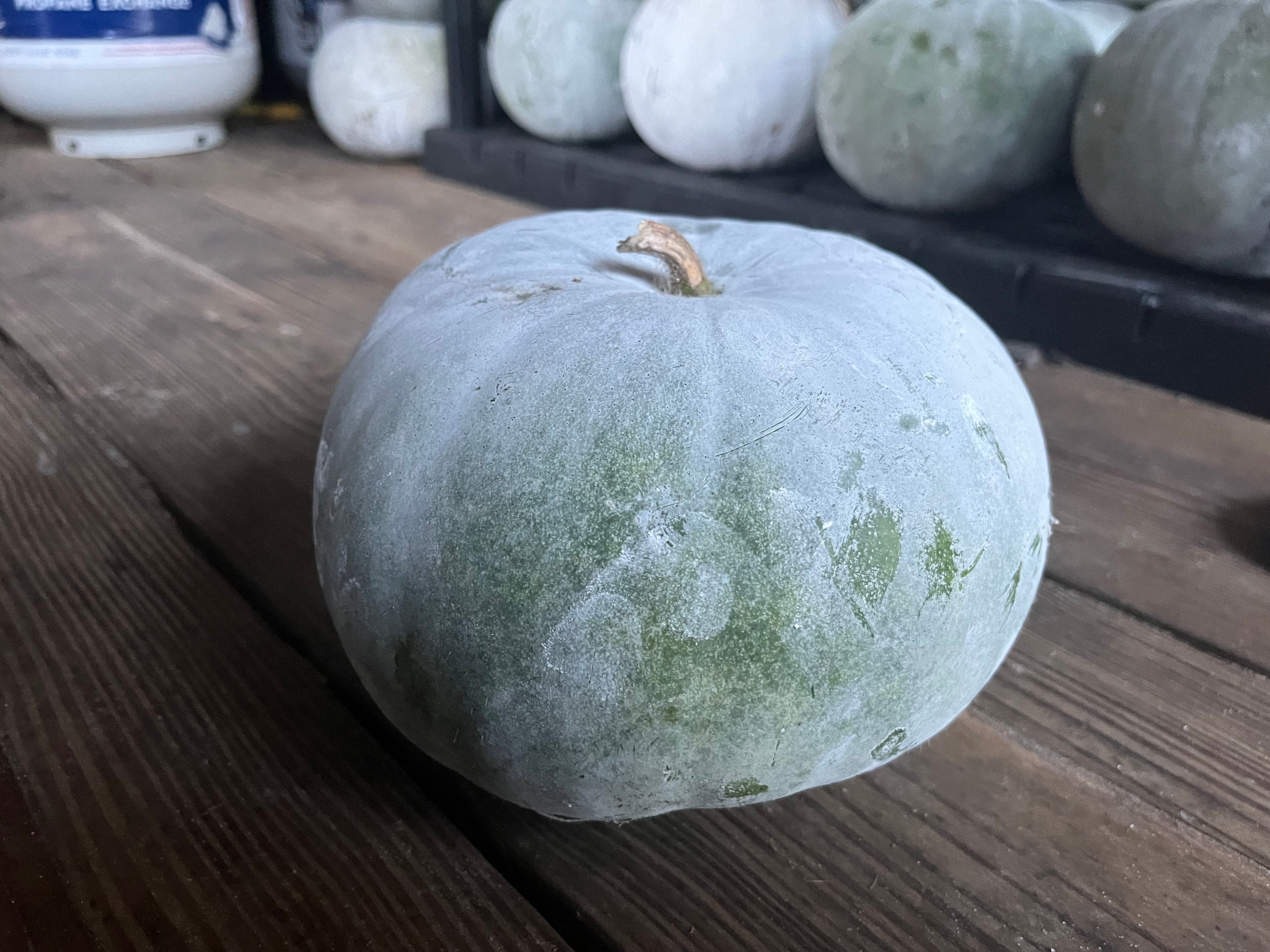 Winter Melon Seeds over 35 per Pack Versatile and Tasty for Soup, Tea ...