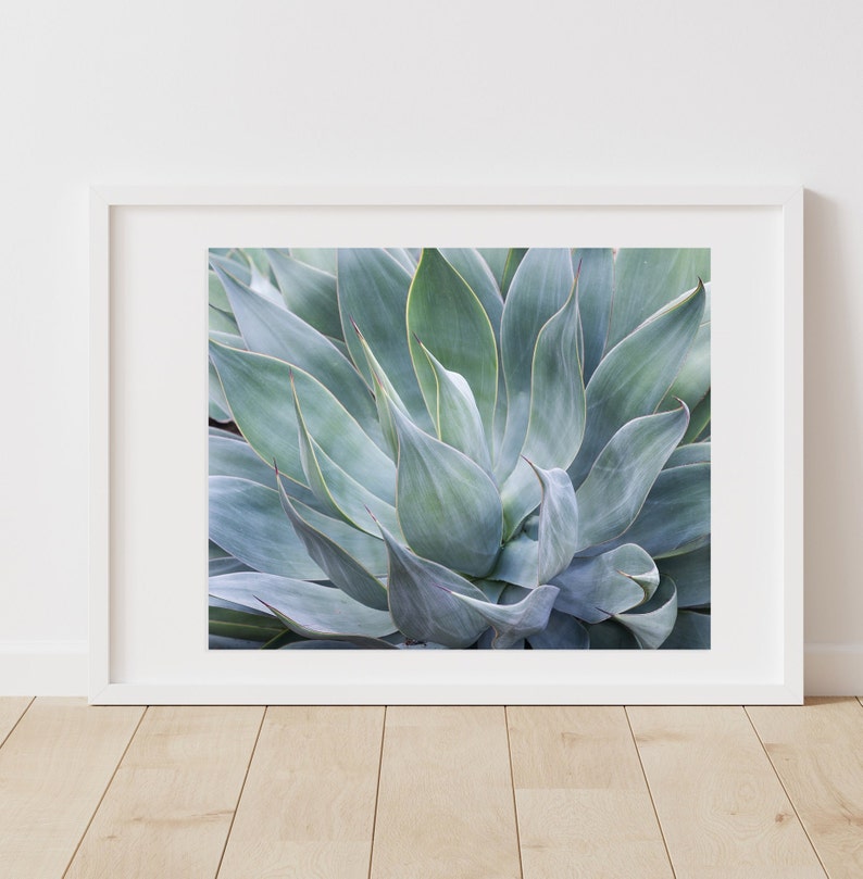Foxtail Agave Print | Botanical Print | Botanical Agave Print | Blue ...
