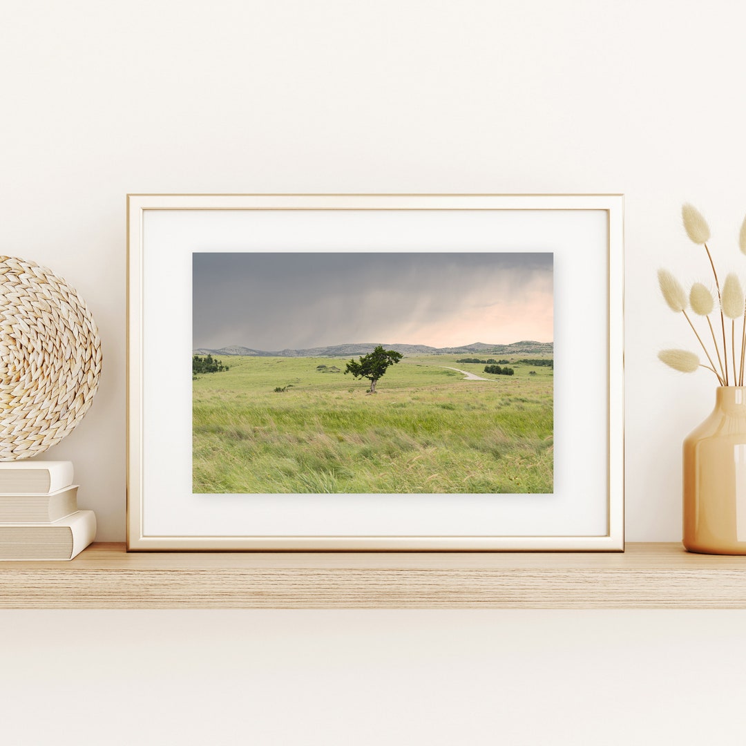 Wichita Mountains Wildlife Refuge | Lone Tree Print | Oklahoma Print ...