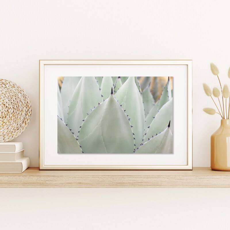 Agave Photography - Etsy
