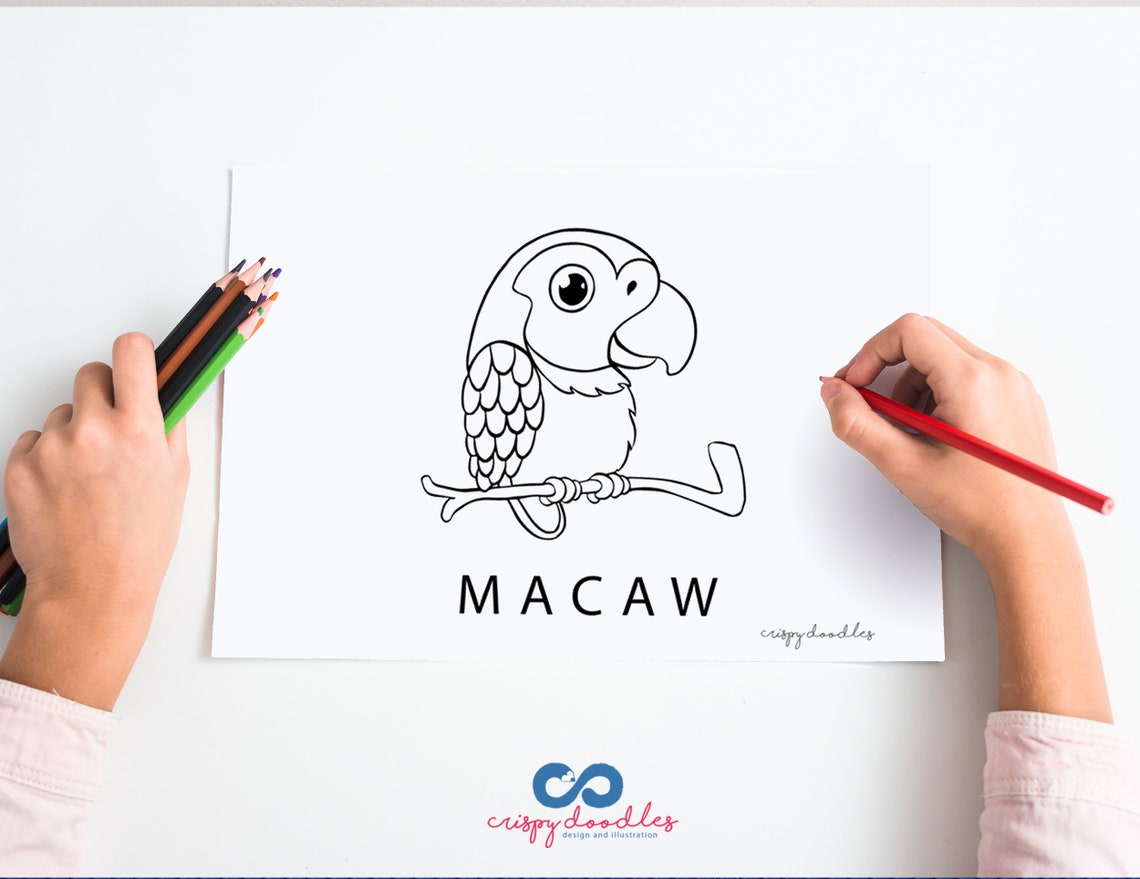 Animal Coloring Pages Kids Preschool Home School Classroom | Etsy