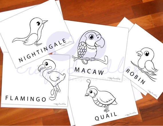 Dibujos De Aves Simples