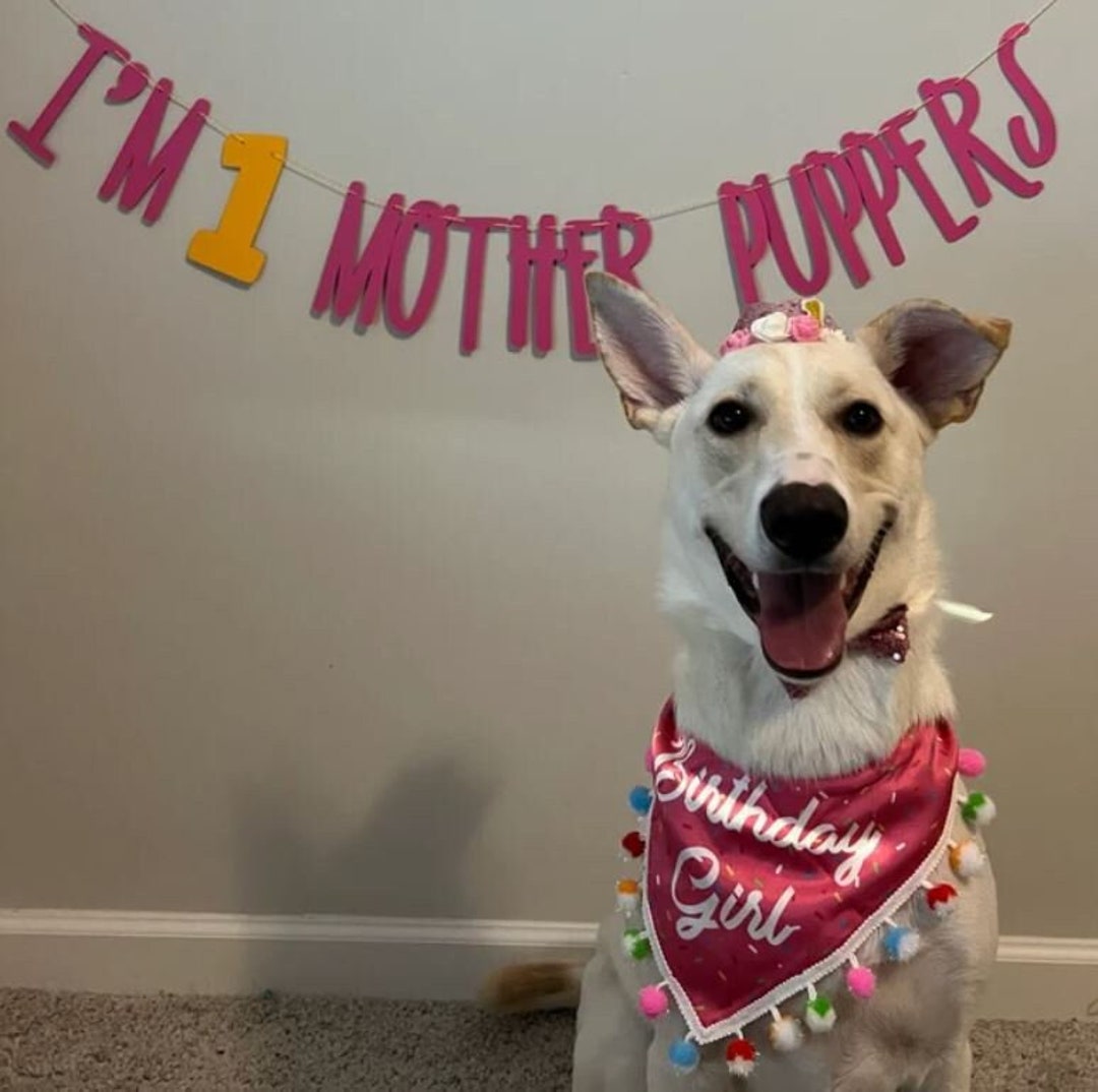Dog Birthday Banner Happy Birthday Mother Puppers Dog Birthday ...