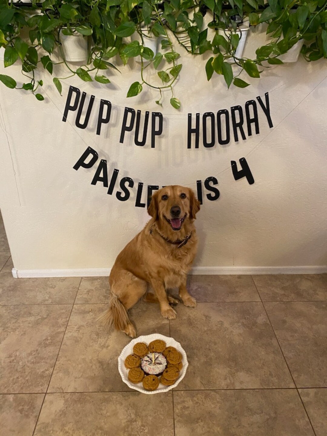 Dog Birthday Banner PUP PUP HOORAY Happy Birthday Dog Birthday ...