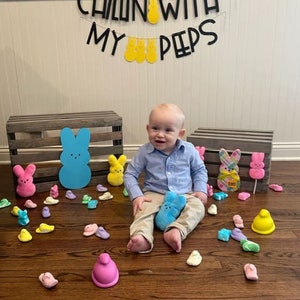 Happy Easter Banner ∙ Chillin With My PEEPS Banner ∙ Happy Easter ...