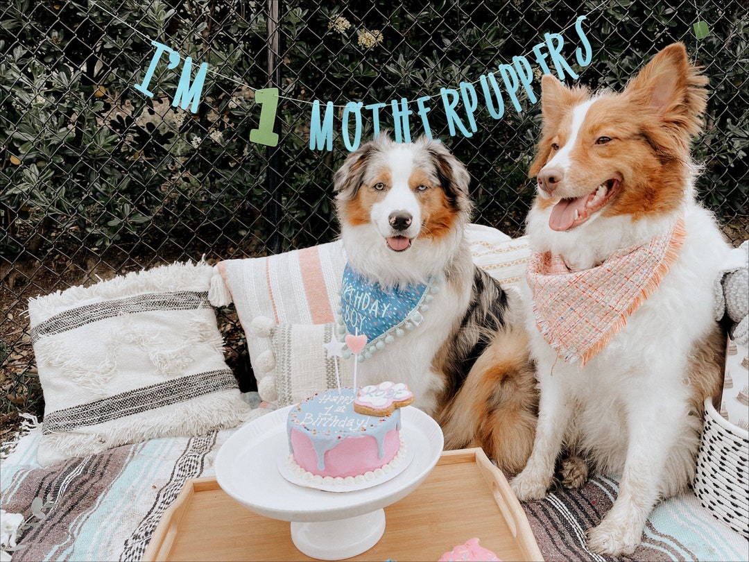 Dog Birthday Banner Happy Birthday Mother Puppers Dog Birthday ...