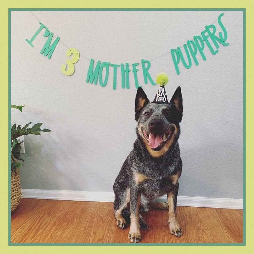 Dog Birthday Banner Happy Birthday Mother Puppers Dog Birthday ...