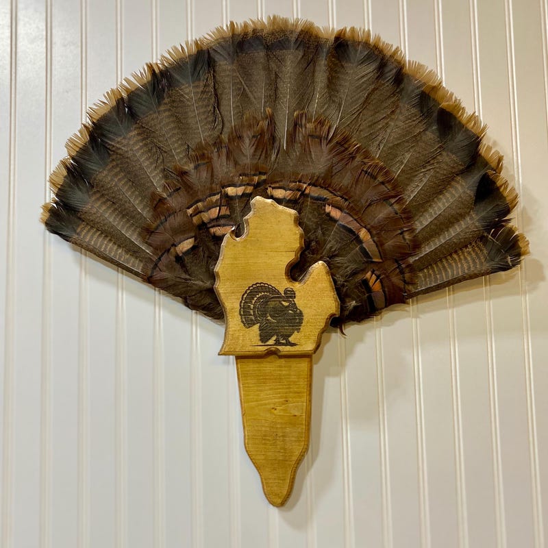 Turkey Fan Mount - Etsy