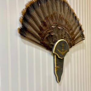 Wooden Turkey Fan Mount. Turkey Trophy Display - Etsy