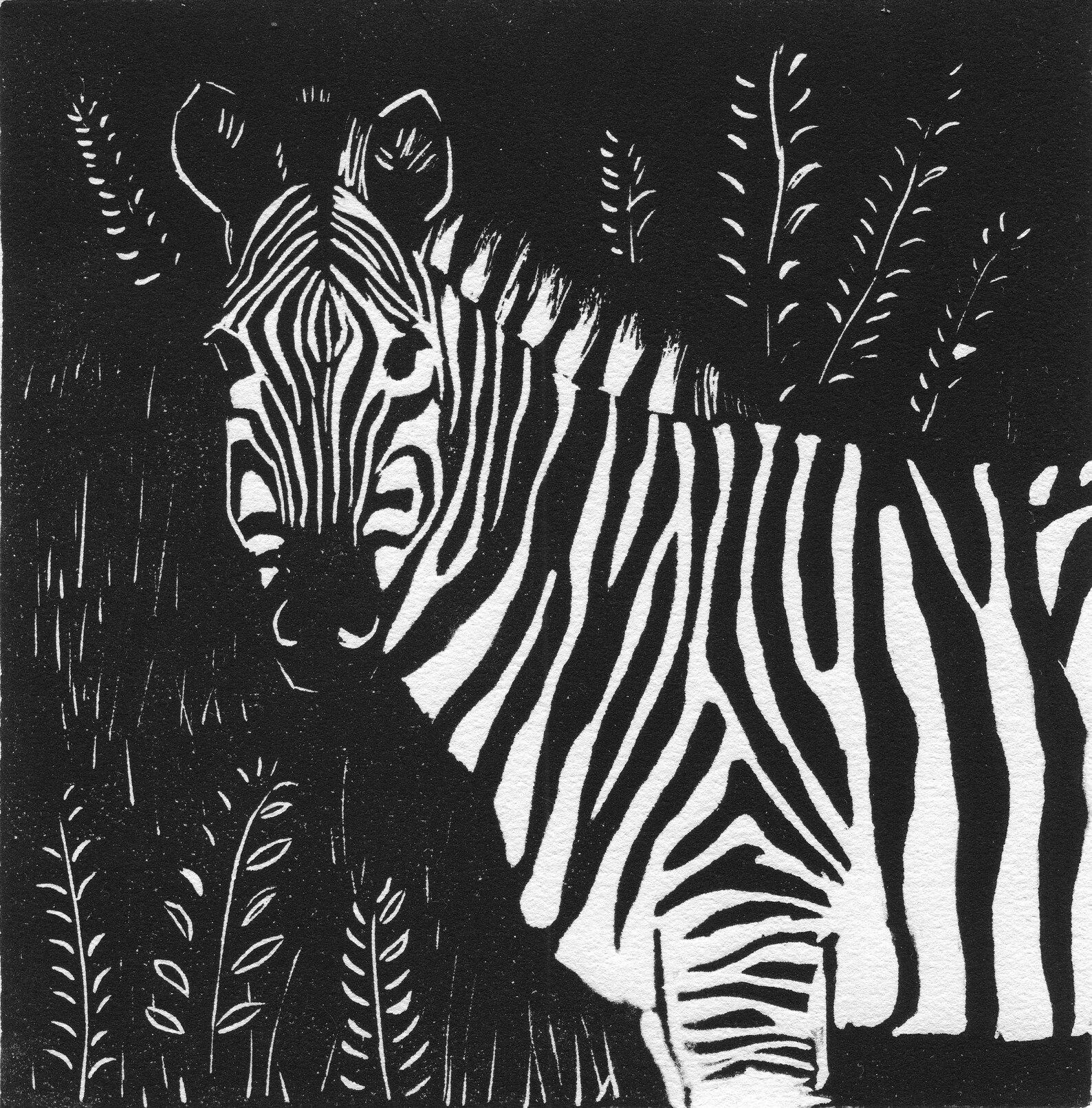 African Zebra Linocut Print - Etsy