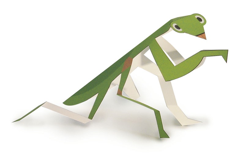 Insects | DIY Paper Craft Kit | 3D Paper Toys | Colourful Cutouts to ...