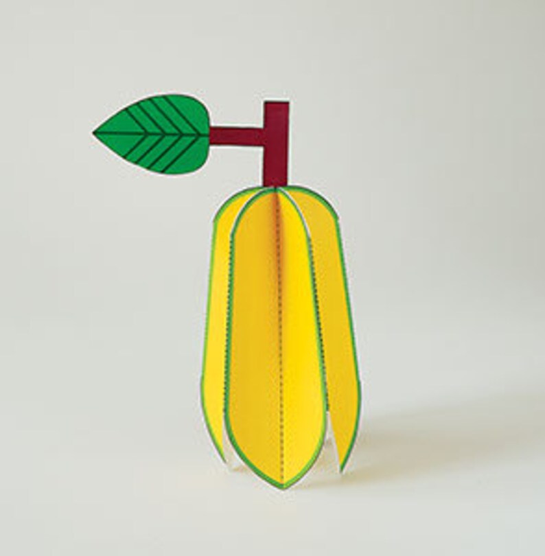 Fruits | DIY Paper Craft Kit | 3D Paper Toys | Colourful Cutouts to ...