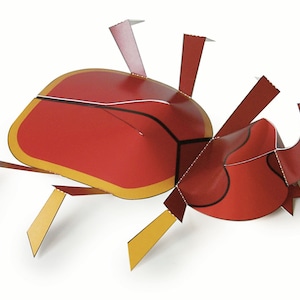 Insects | DIY Paper Craft Kit | 3D Paper Toys | Colourful Cutouts to ...