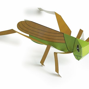 Party Kit - Insects | DIY Paper Craft Kit | 3D Paper Toys | Colourful ...
