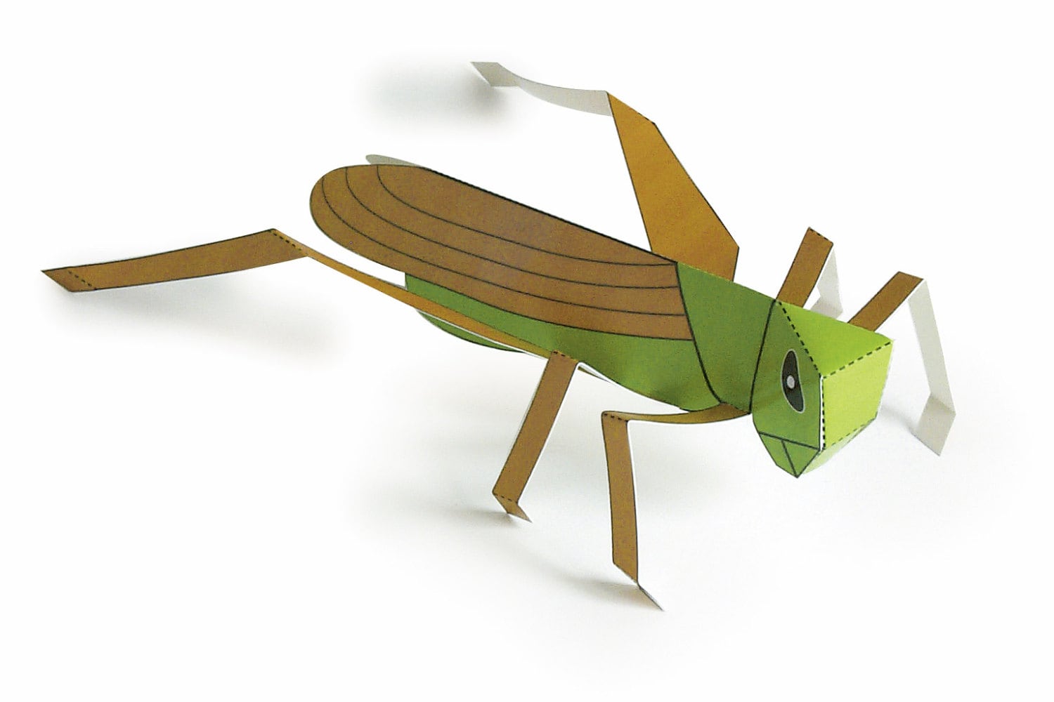 Party Kit Insects DIY Paper Craft Kit 3D Paper Toys Colourful Cutouts ...