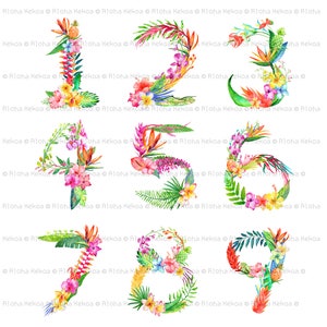 Number 5 Five Printable Beach Wedding Signs Luau - Etsy