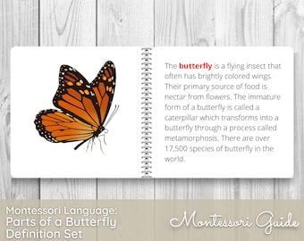 Parts of a Butterfly Nomenclature Book Montessori Zoology Printable ...