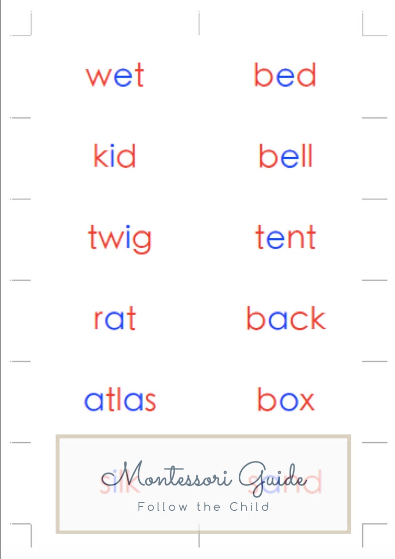 Phonetic Montessori Reading Cards | Etsy