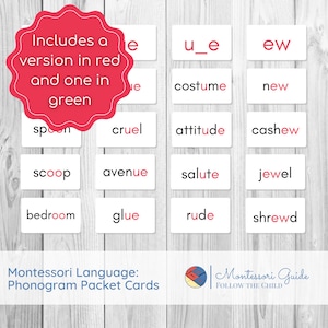 Phonogram Reading Cards--410 Cards That Cover 41 Phonograms - Etsy