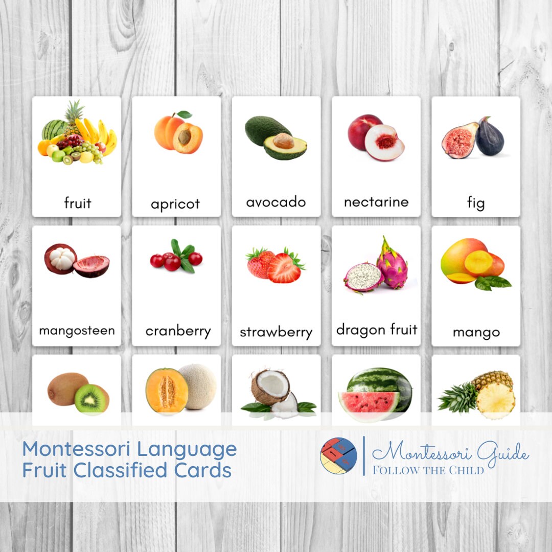 Fruit Montessori Cards - Etsy