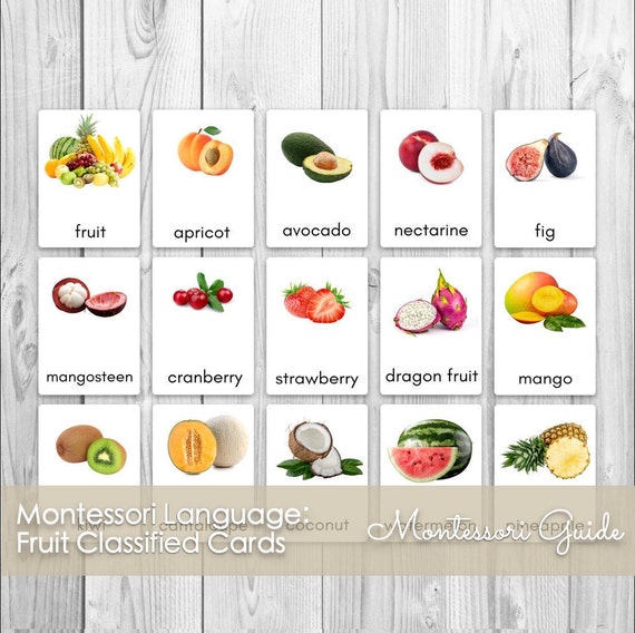 Fruit Montessori Cards | Etsy