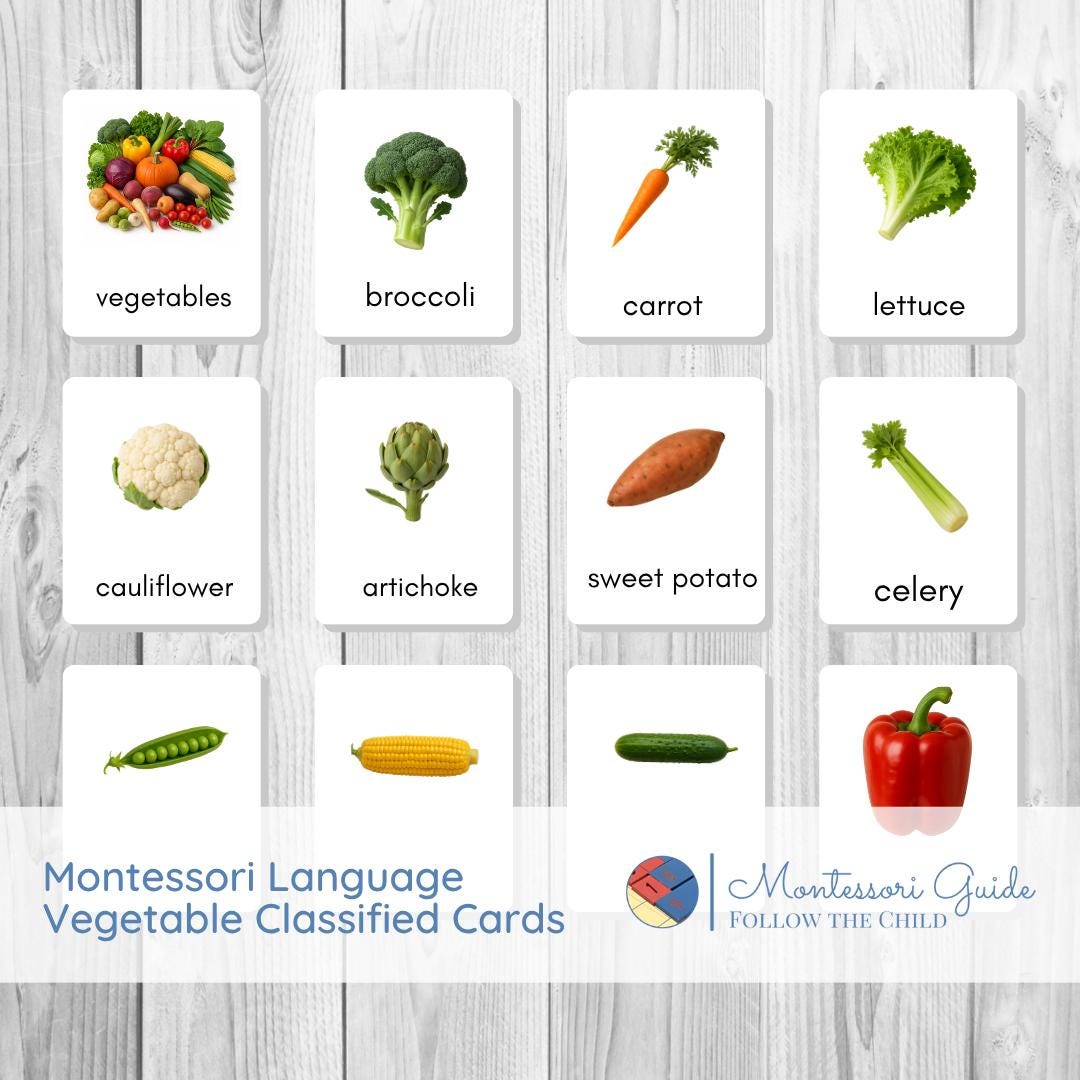 Vegetable Montessori Cards - Etsy