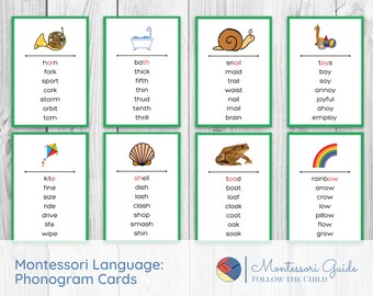 WHOLE SCHOOL Montessori Phonogram PDF Downnload for Reading - Etsy