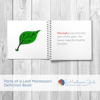 Plant Kingdom Charts & Cards Bundle - Montessori Botany Classification ...