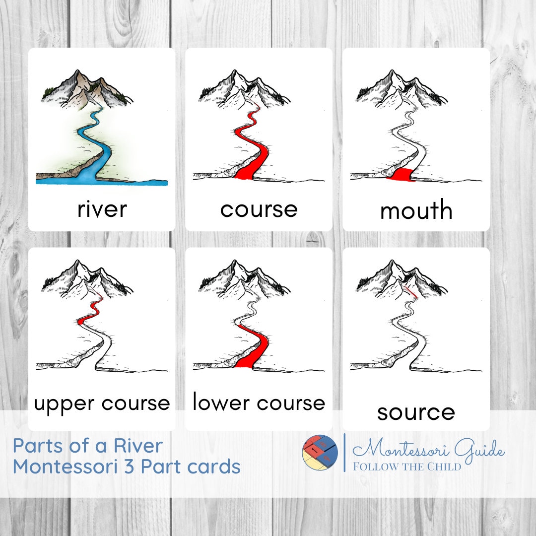 Parts of a River Montessori Three-part Cards - Etsy