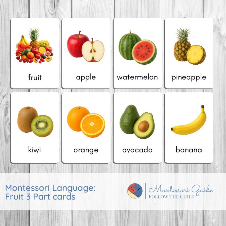 Fruit Montessori Cards - Etsy