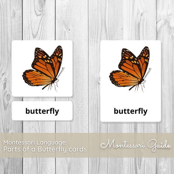 Three Part Cards of Parts of a Butterfly - Etsy