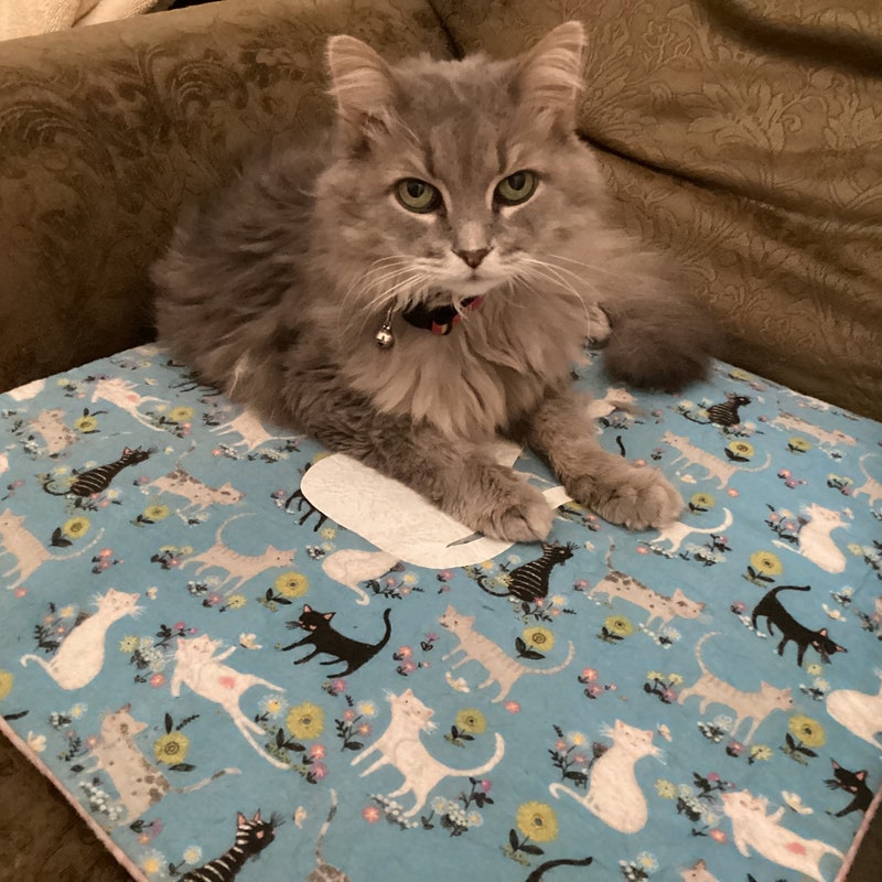 Nap Mat Pattern - Etsy