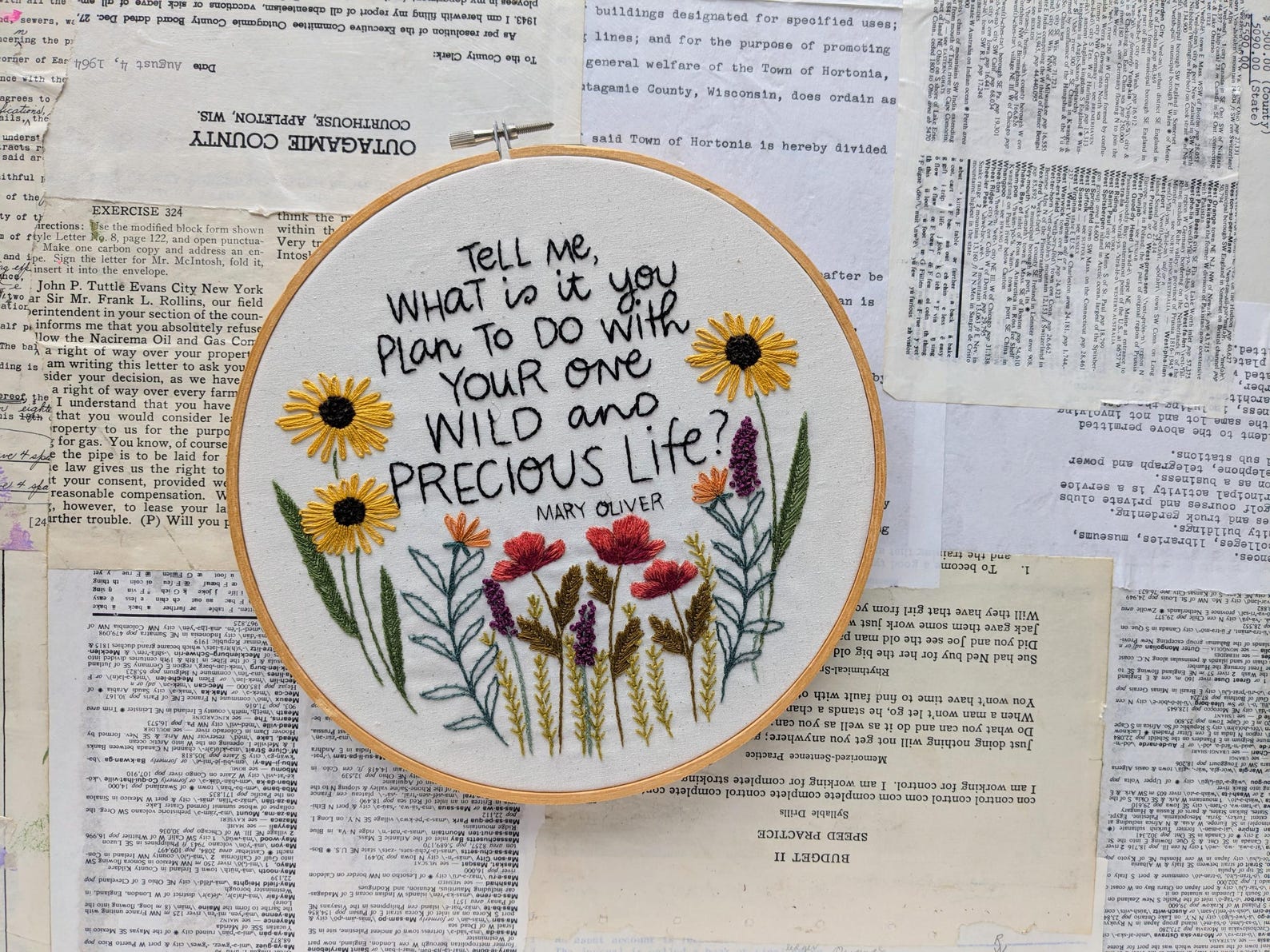 What is You Plan to Do With Your One Wild and Precious Life? // Mary ...