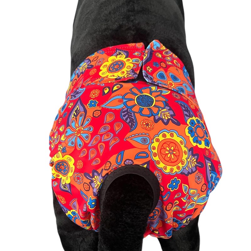 38 Dog Diaper - Etsy