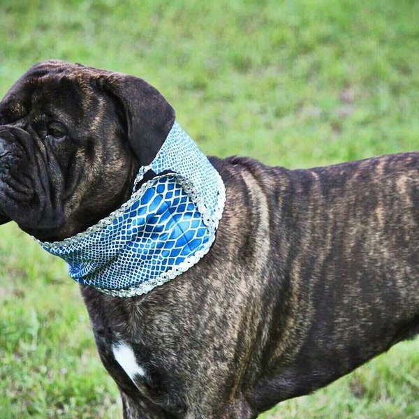 Dog Cooling Collar - Etsy