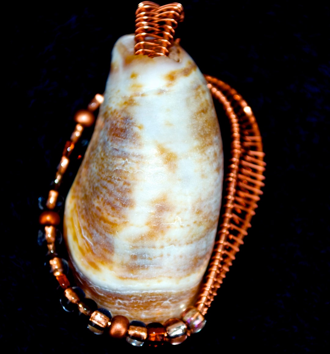 Wire Wrapped Sea Shell Necklace - Etsy
